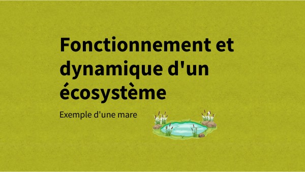 Présentation de l'écosystème mare
