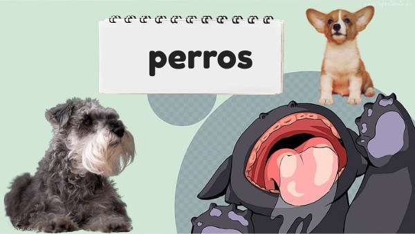 perros