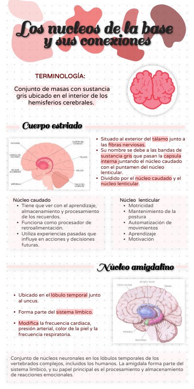 Infografía nucleos de la base | Genially