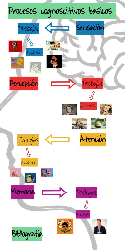 Procesos cognoscitivos basicos | Genially
