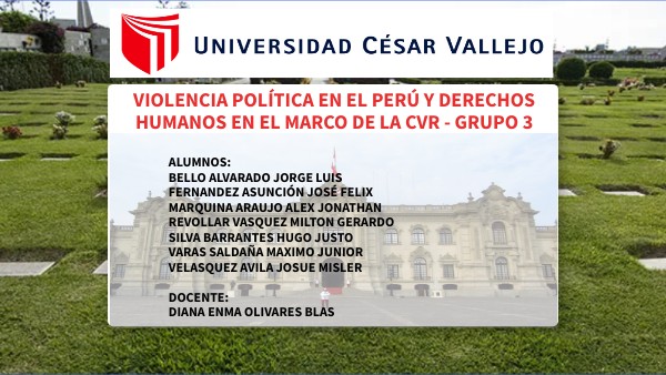 VIOLECIA POLITICA EN EL PERU Y DERECHOS HUMANOS EN EL MARCO DE LA CVR