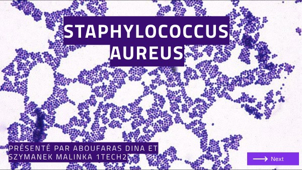 Staphylococcus aureus presentation