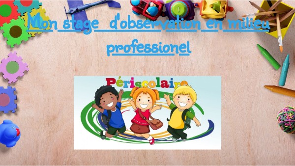Mon stage en milieu professionnel