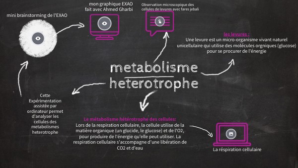 Copie - BLACKBOARD LIST