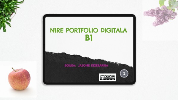 NIRE PORTFOLIOA B1-JASONE