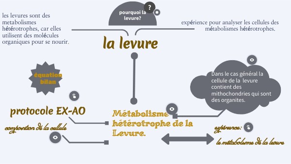 SVT levures Hiba Acheche