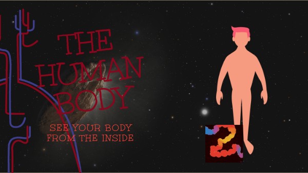 HUMAN BODY PRESENTATION