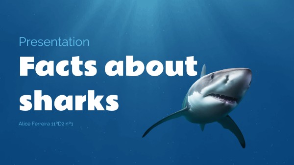 Sharks Presentation