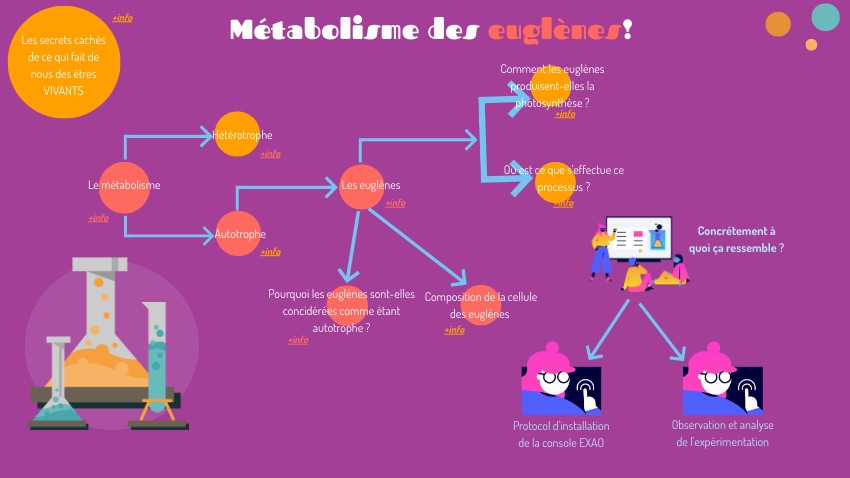 Métabolisme des cellules