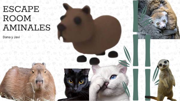 ESCAPE ROOM ANIMALES