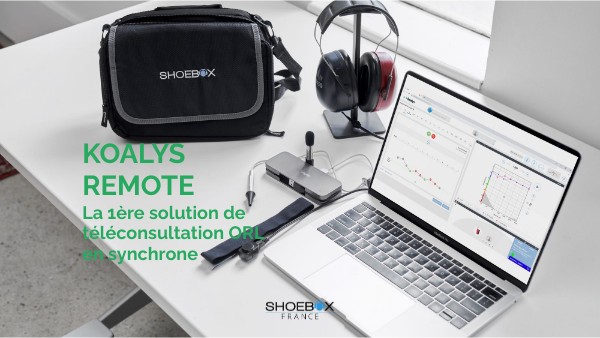 DEVIS KOALYS REMOTE | Genially