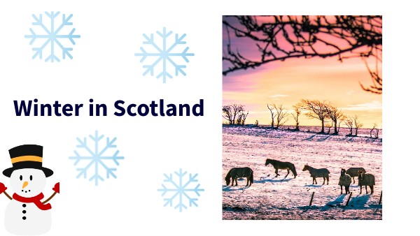 Scottish Winter