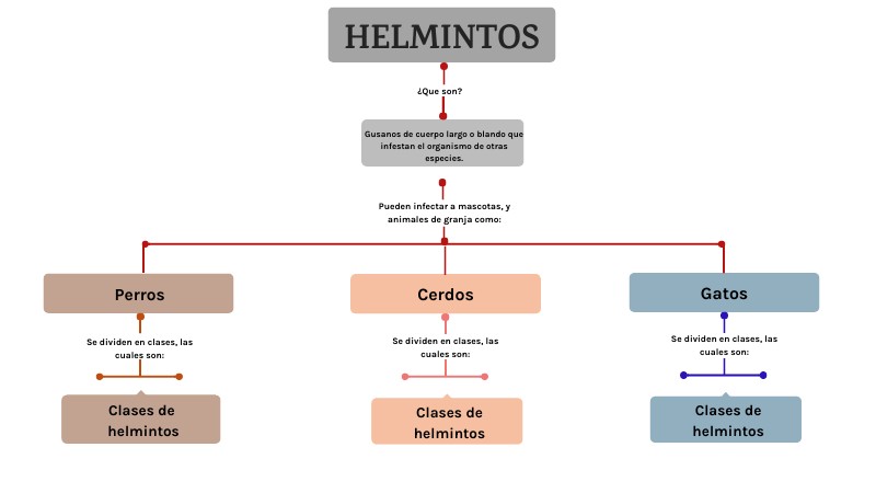 Helminto - Evidencia 2 | Genially