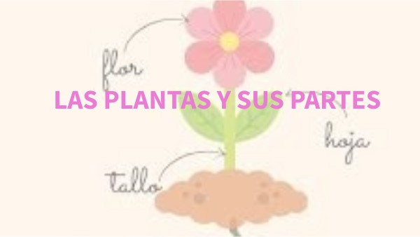partes de la planta | Genially