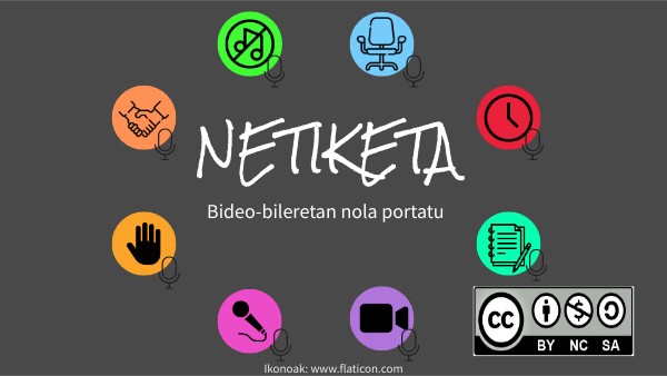 Netiketa-Irisgarritasuna