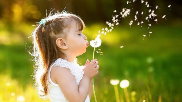 OPW 2 Unit 2 Random | Genially