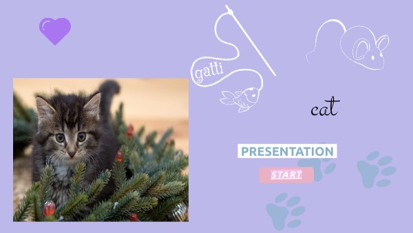 KITTENS PRESENTATION