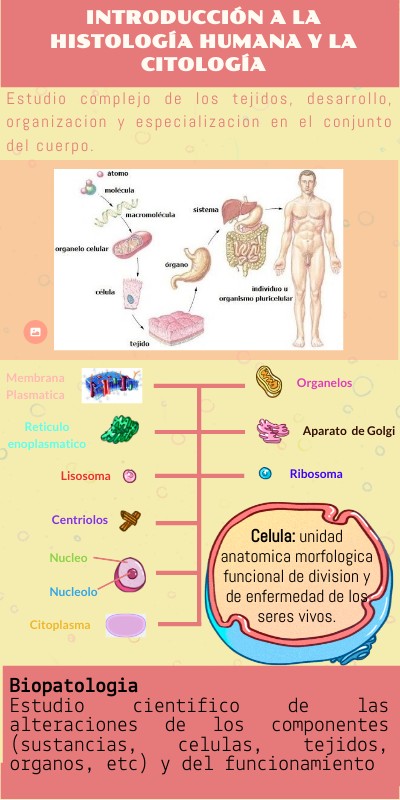 INFO VERTICAL CÉLULAS | Genially