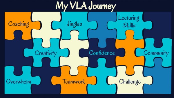 VLA Experience - Reflective Piece