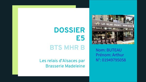 FLOW UNIVERSITY THESIS | Genially