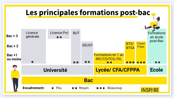 SCHEMA VOIE AGRO | Genially