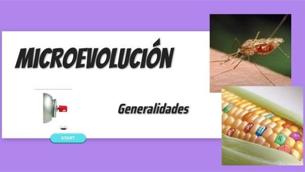 CORP 3D REPORTING | Genially