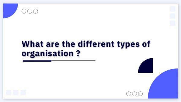 The different types of organisation? | Genially