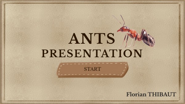 Ants PRESENTATION III | Genially