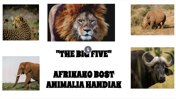 THE BIG FIVE- Afrikako bost animalia handiak | Genially