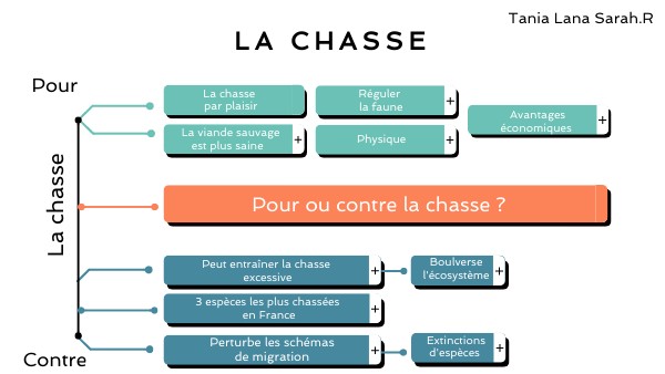 La chasse | Genially