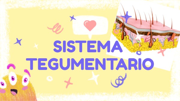 SISTEMA TEGUMENTARIO | Genially