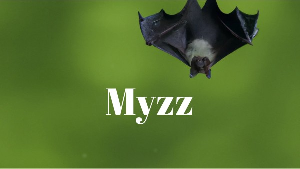 PRESENTACIÓN MYZZ