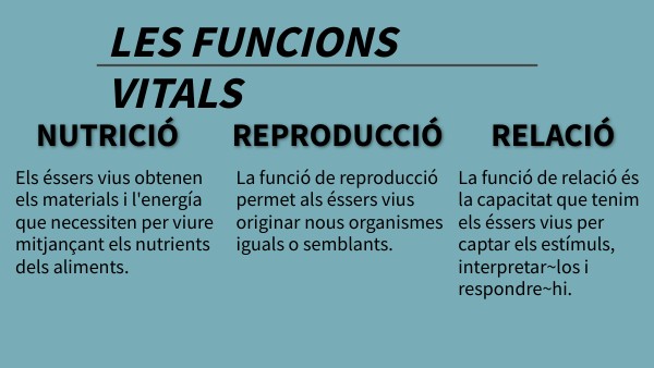 Mapa conceptual éssers vius