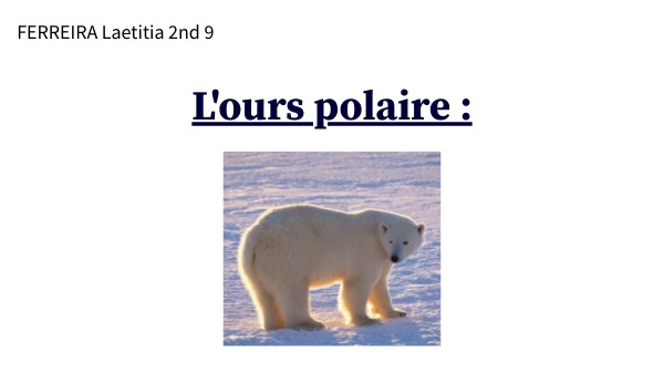 L'ours polaire