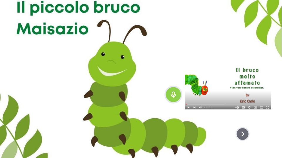 BRUCO