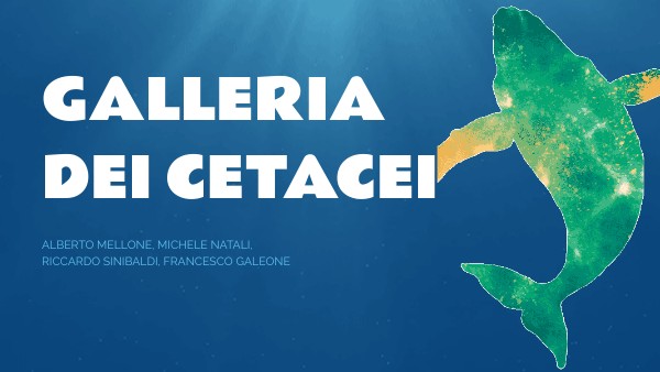 galleria dei cetacei