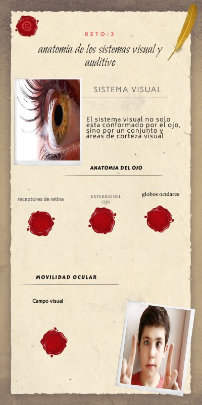 RETO 3 ANATOMIA DE LOS SITEMAS VISUAL Y AUDITIVO | Genially