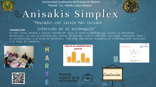 ANISAKIS SIMPLEX