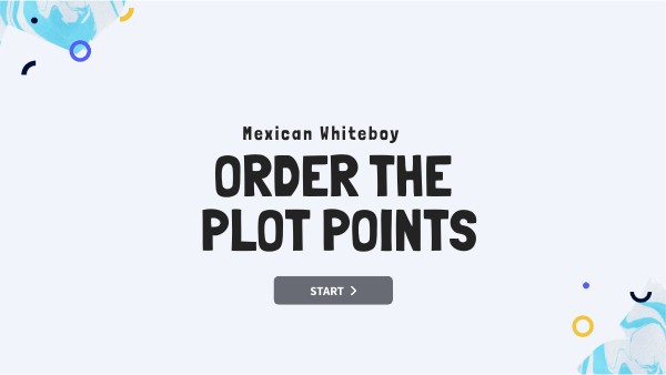 Plot Points for Mexican Whiteboy novel