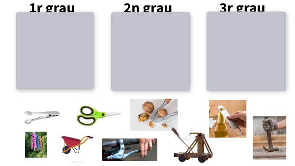 Graus de les palanques | Genially