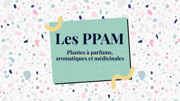LES PPAM