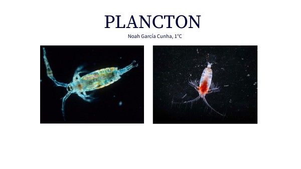 PLANCTON | Genially