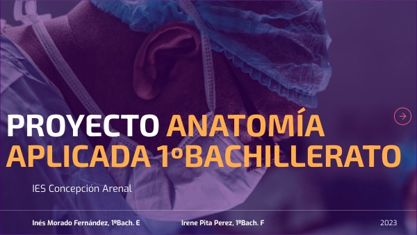 PROYECTO ANATOMÍA