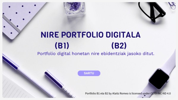 NIRE PORTFOLIO DIGITALA B1+B2