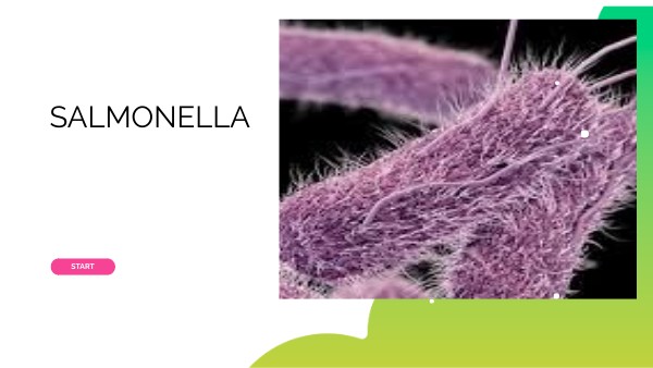 Pathogen project | Genially