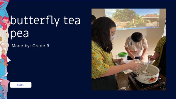 PPT BUTTERFLY TEA PEA | Genially