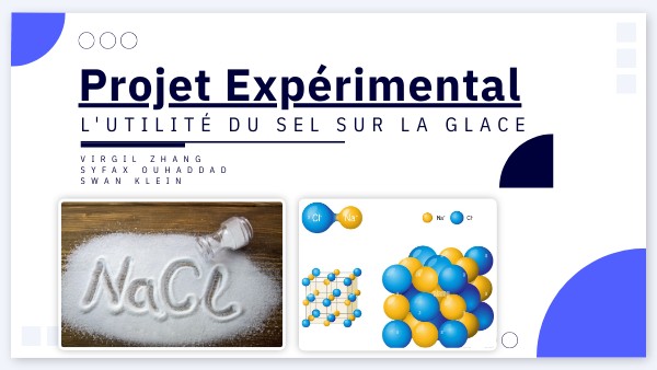 ES Projet expérimental (VzSoSk) | Genially