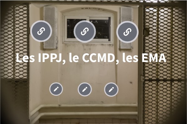 Les IPPJ, le CCMD, les EMA