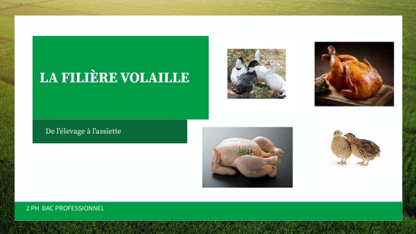 LA FILLIERE VOLAILLE