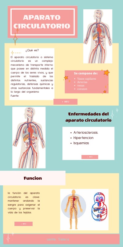 INFOGRAFÍA APARATO CIRCULATORIO | Genially